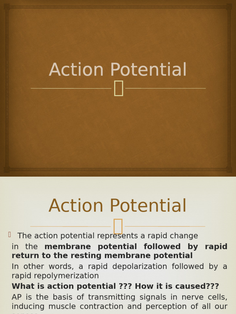 Action Potential | PDF