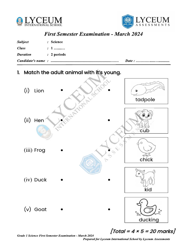 Grade 1 Science | PDF