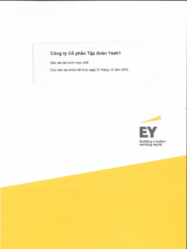 YEG Baocaotaichinh 2023 Kiemtoan Hopnhat | PDF