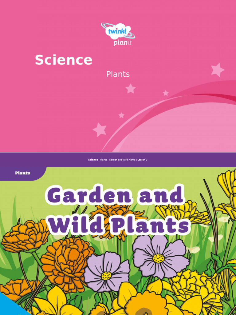 Identifying Garden and Wild Plants | PDF | Plants | Gardens
