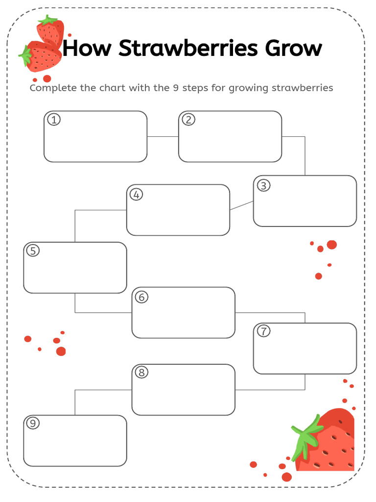 How Strawberries Grow | PDF