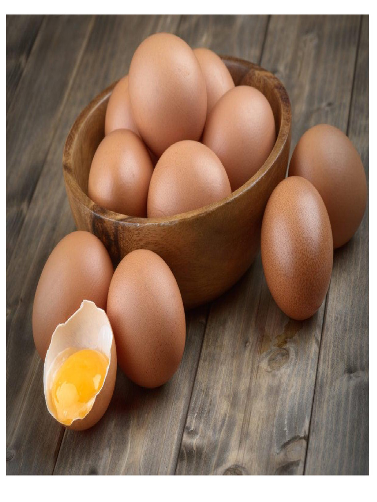 Kinder | PDF