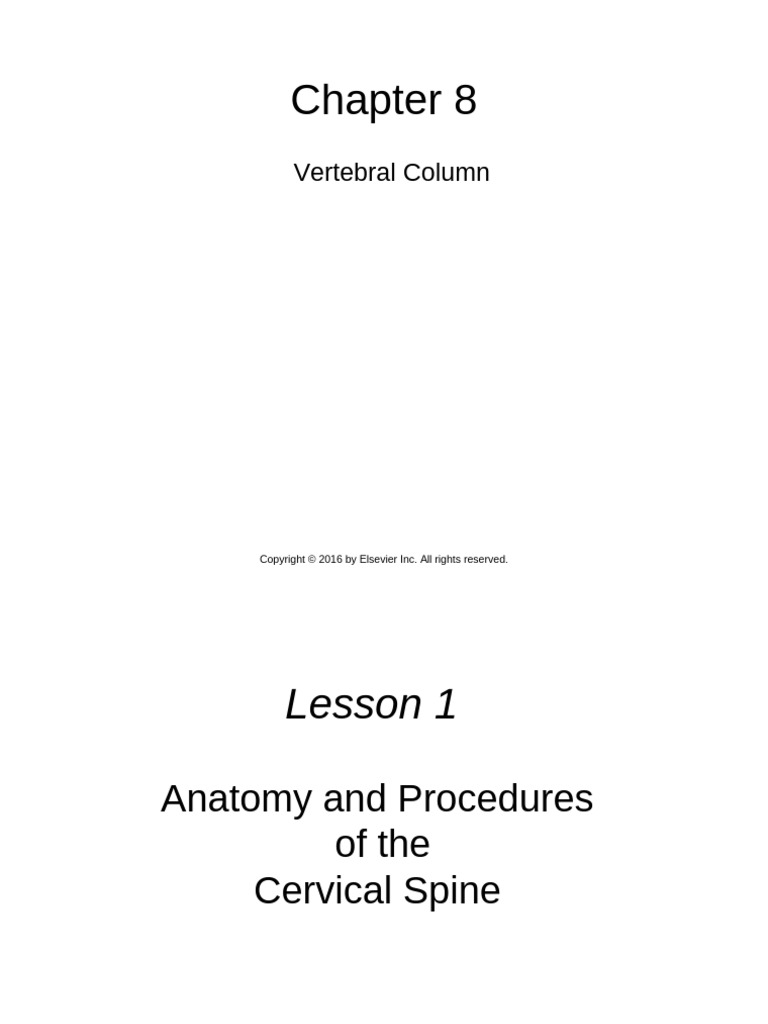 Chapter 8 Vertebral Column | PDF | Vertebra | Vertebral Column