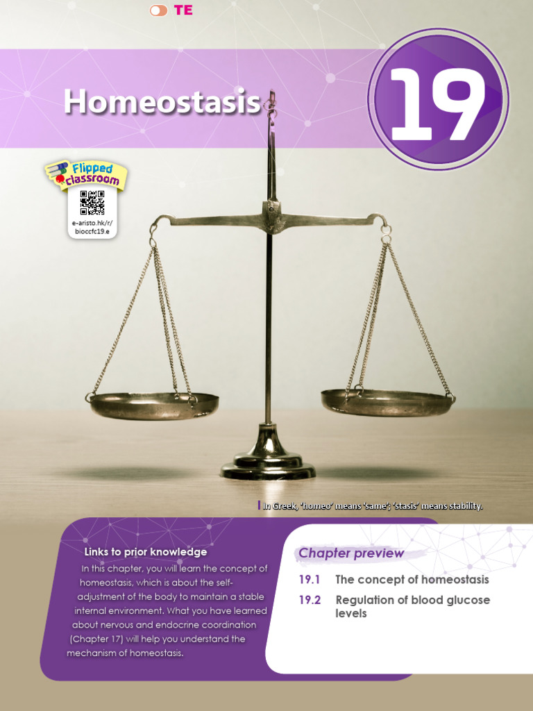 eTextbook19 | PDF | Homeostasis | Human Body