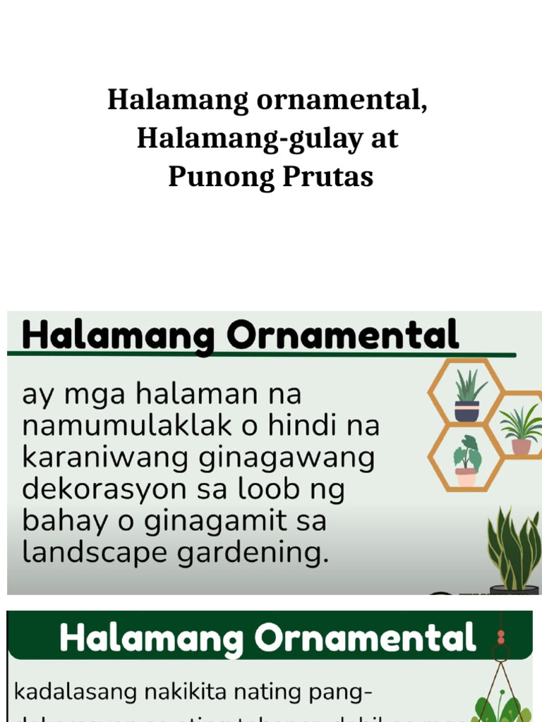Halamang Ornamental at Punong Prutas | PDF