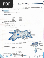 Bio Practical XI | PDF