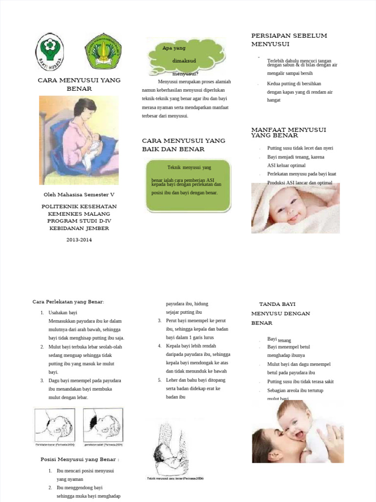 PDF Leaflet Cara Menyusui Yang Benar - Compress | PDF