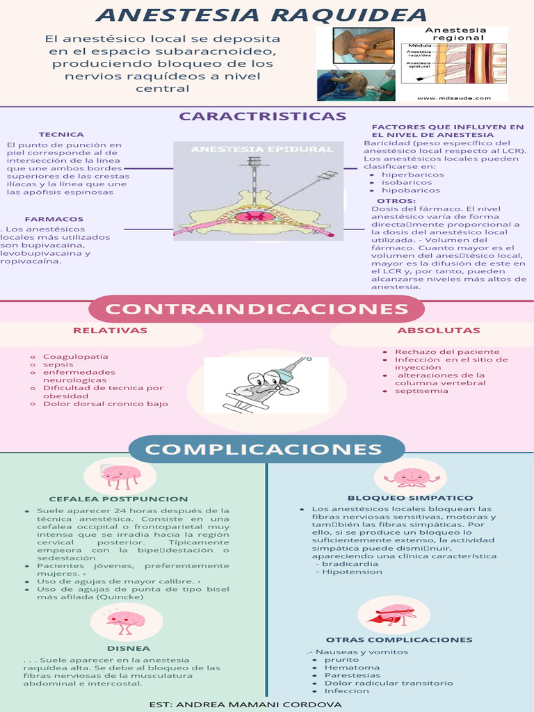 Anestesia Raquidea | PDF | Anestesia | Sistema nervioso