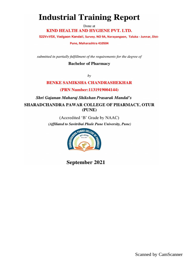 industrial report | PDF