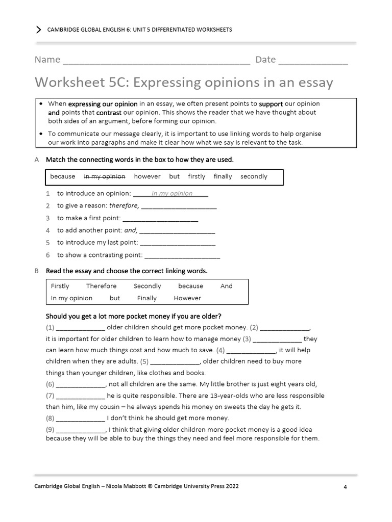 Expressing Opinions Worksheet | PDF