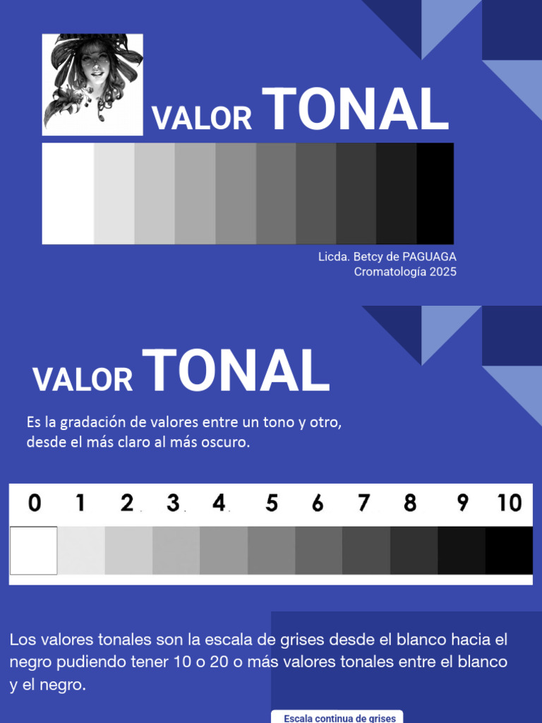 Escala Tonal y Valor del Color | PDF | Negro | Color