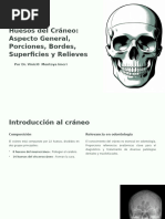 Tipos de Craneo | PDF