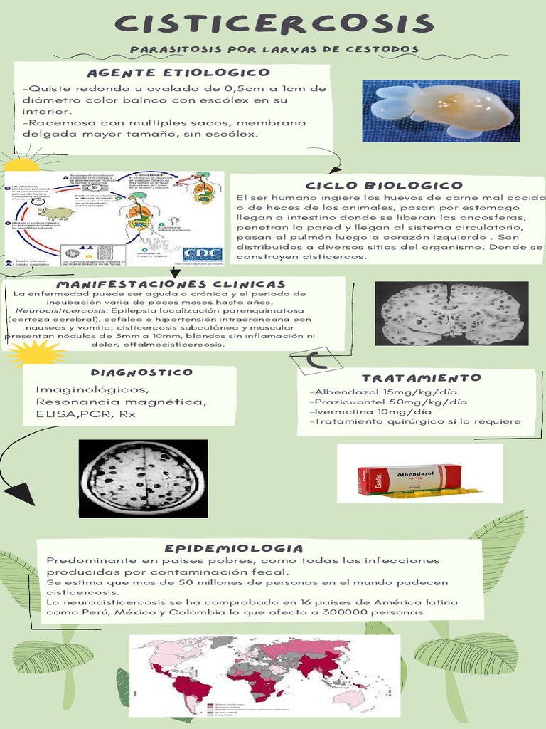 Cisticercosis: Síntomas y Tratamiento | PDF