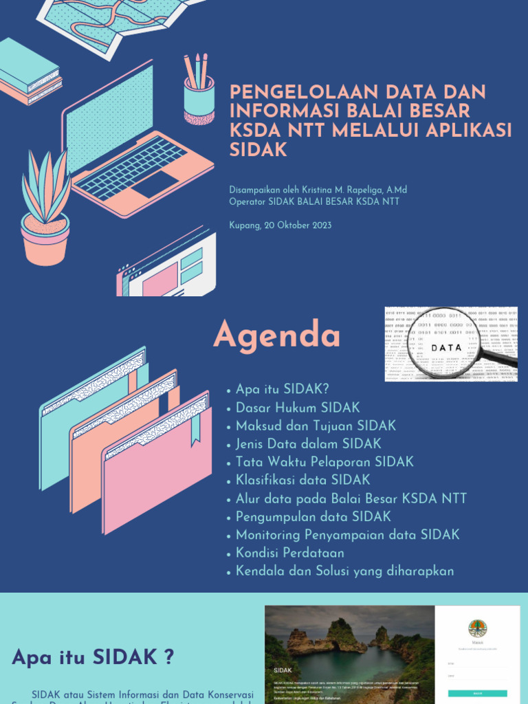 Pengelolaan Data SIDAK di KSDA NTT | PDF