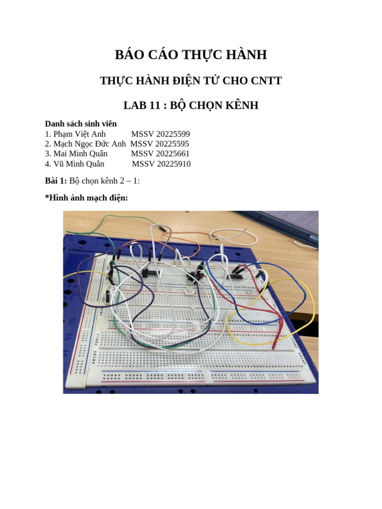 Nhóm 4 Lab 11 | PDF