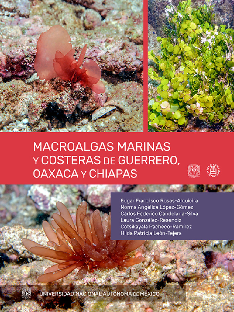 macroalgas_marinas | PDF | Entorno natural | México