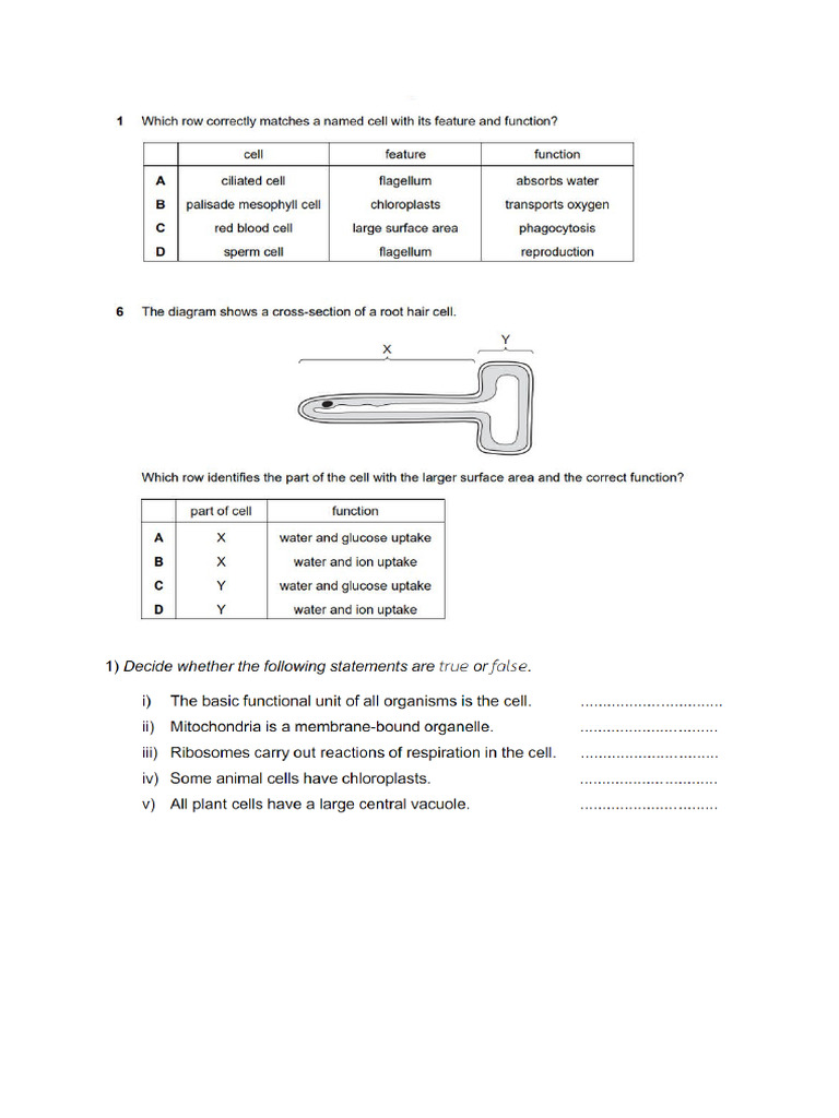 Cells worksheet Hiya | PDF