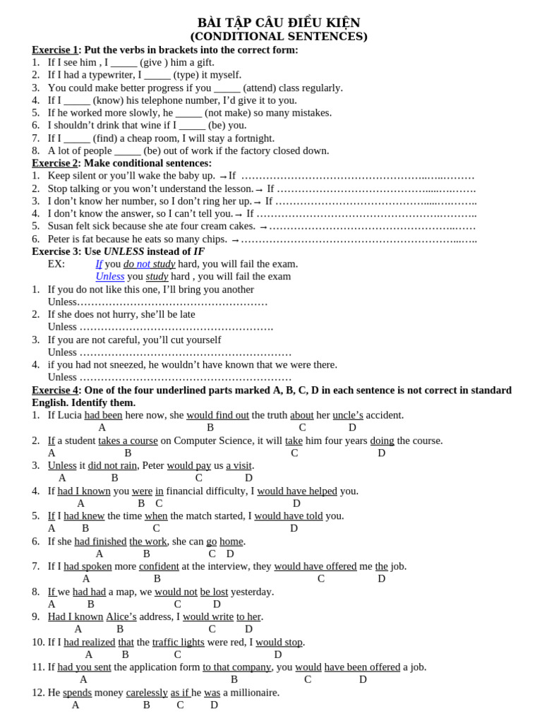 Conditional Sentence Exercises | PDF