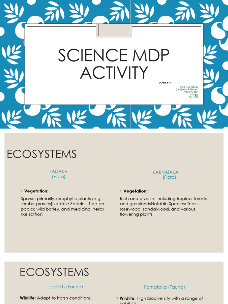 SCIENCE MDP ACTIVITY (1) copy | PDF