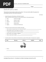 P - Science 5 - End-Of-Unit - 5 | PDF | Force | Magnet
