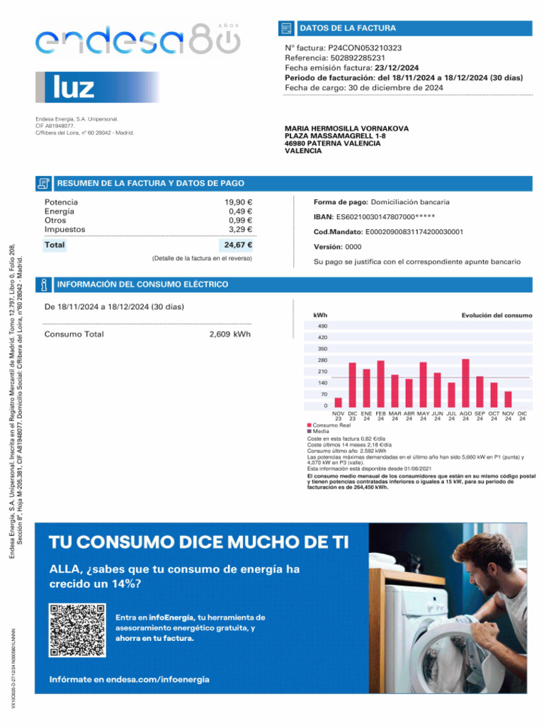 Argentina Utility Bill | PDF