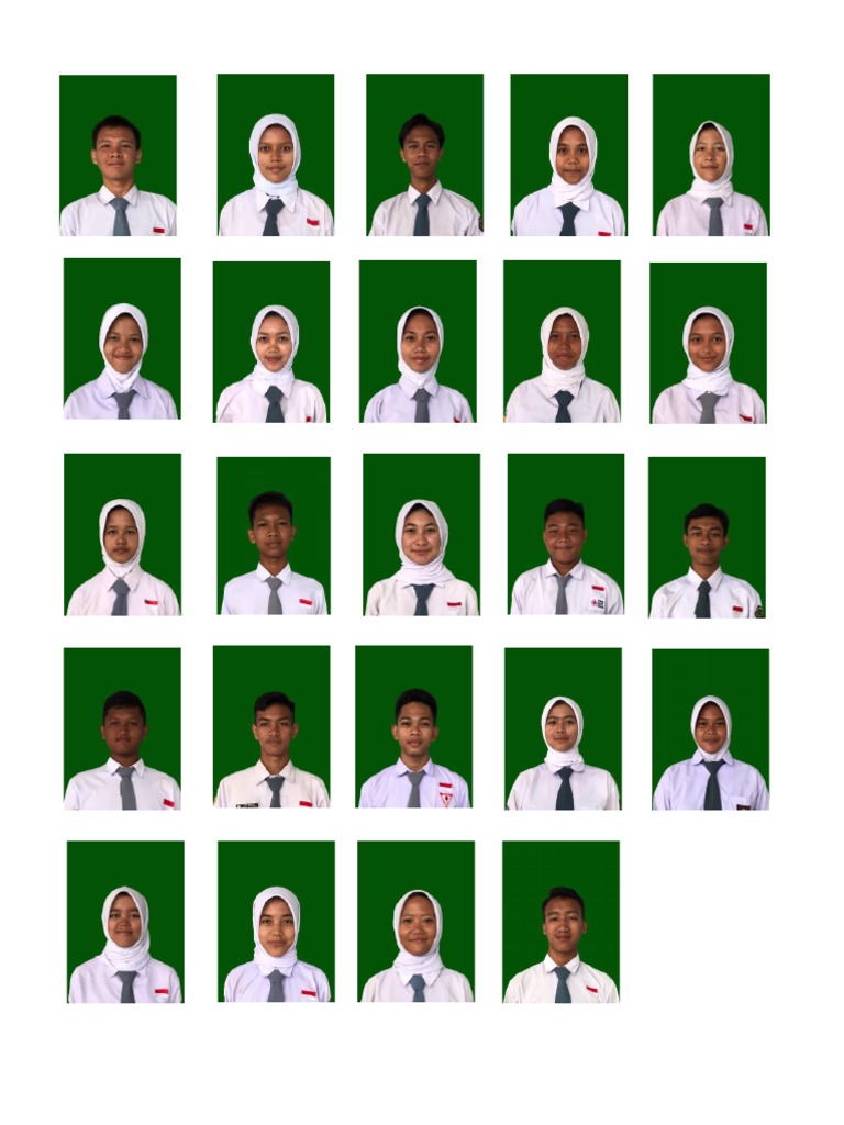 FOTO PLETON RPR FIX - PDF | PDF