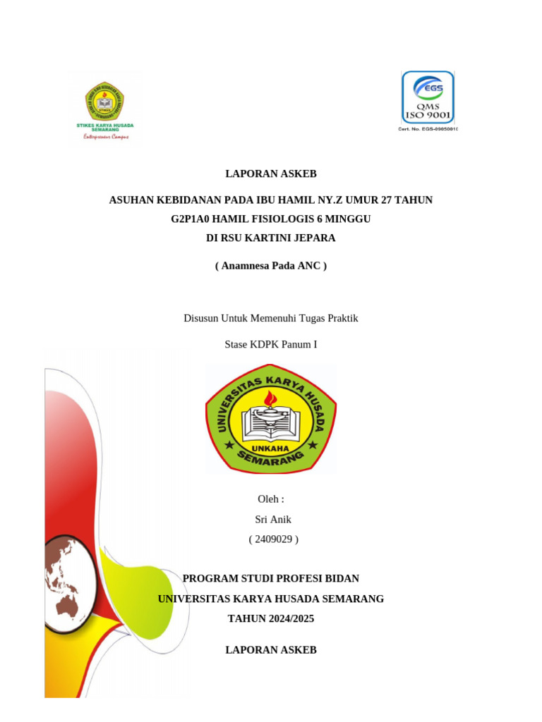 Askeb Anamnesa Ibu Hamil | PDF