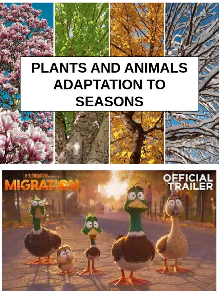 Plants and Animals Adaptation To The Seasons | PDF