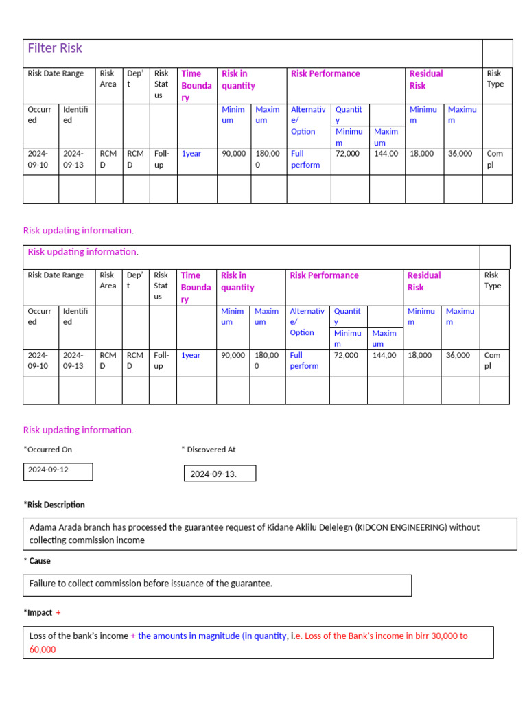 Risk performance | PDF