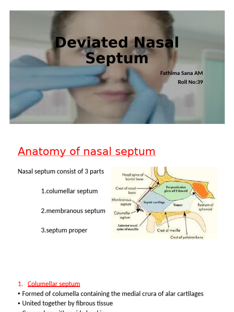 Understanding Deviated Nasal Septum | PDF | Human Nose ...