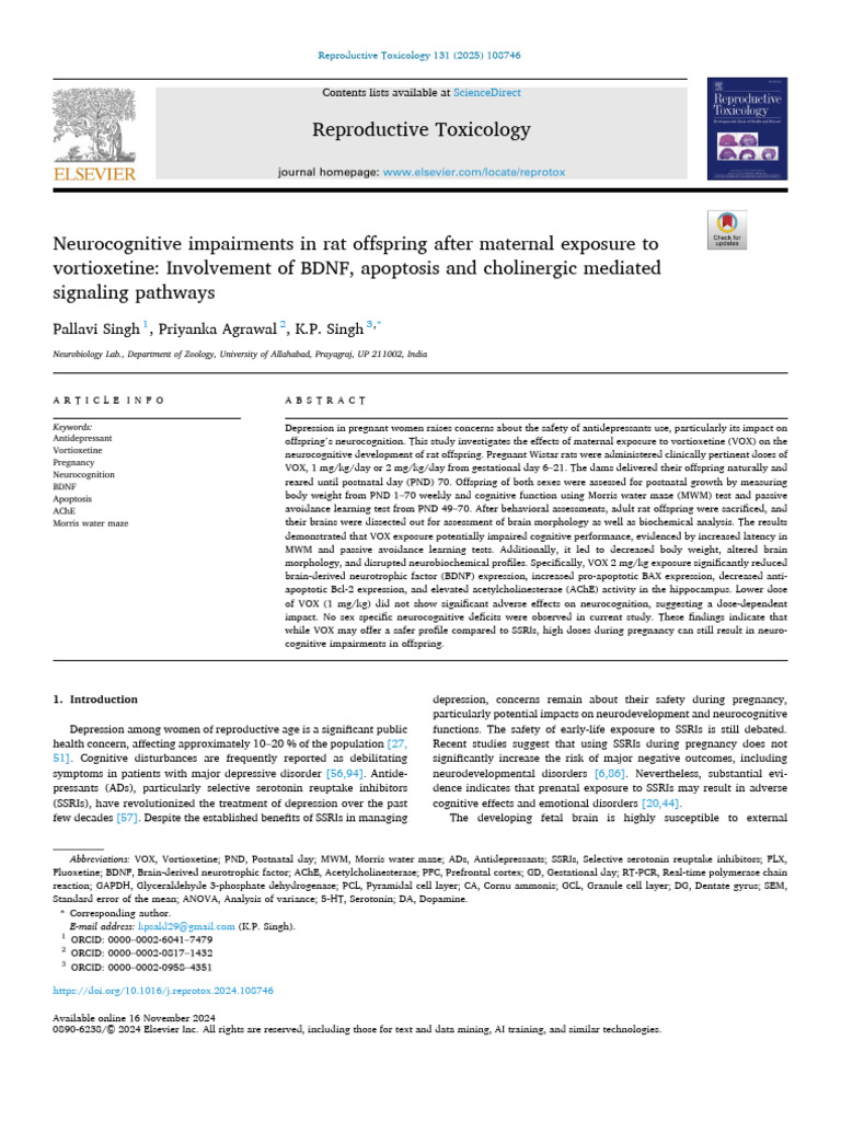 Singh 2025 Neurocognitive Impairments in Rat Offspring After Maternal Exposure to Vortioxetine ...