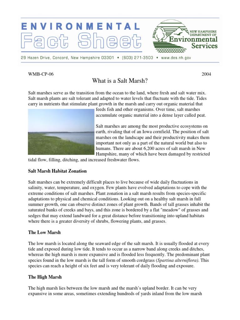 What Is A Salt Marsh PDF | PDF | Marsh | Earth Sciences