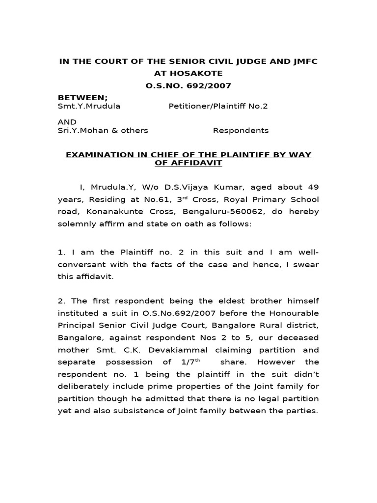 Chief Affidavit 28-02-2024 | PDF | Lawsuit | Affidavit