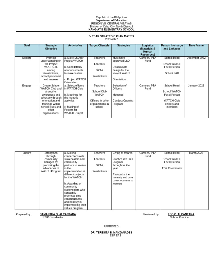 5 Year Strategic Plan Matrix | PDF