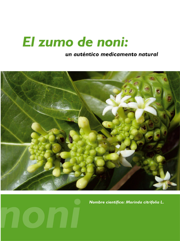 NONI Vademecum | PDF