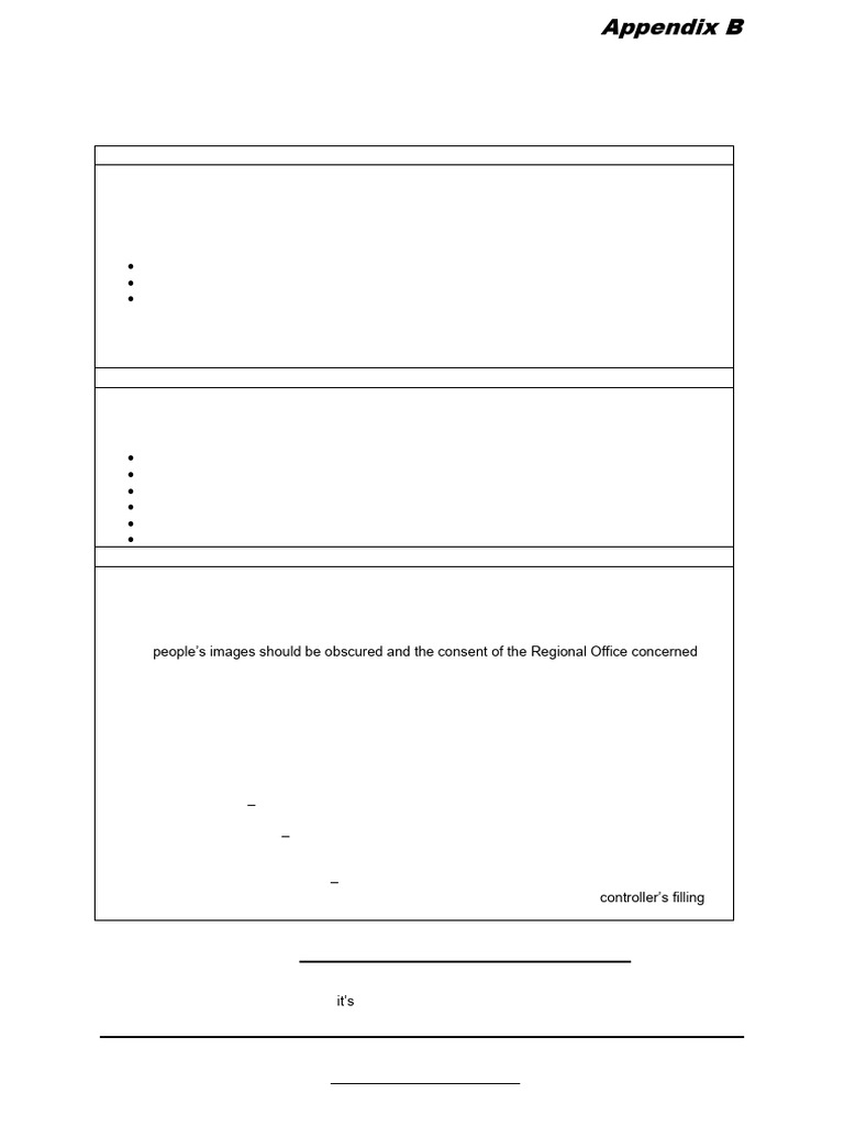 APPENDIX B - Consent Form-1 | PDF | Audit | Internal Audit