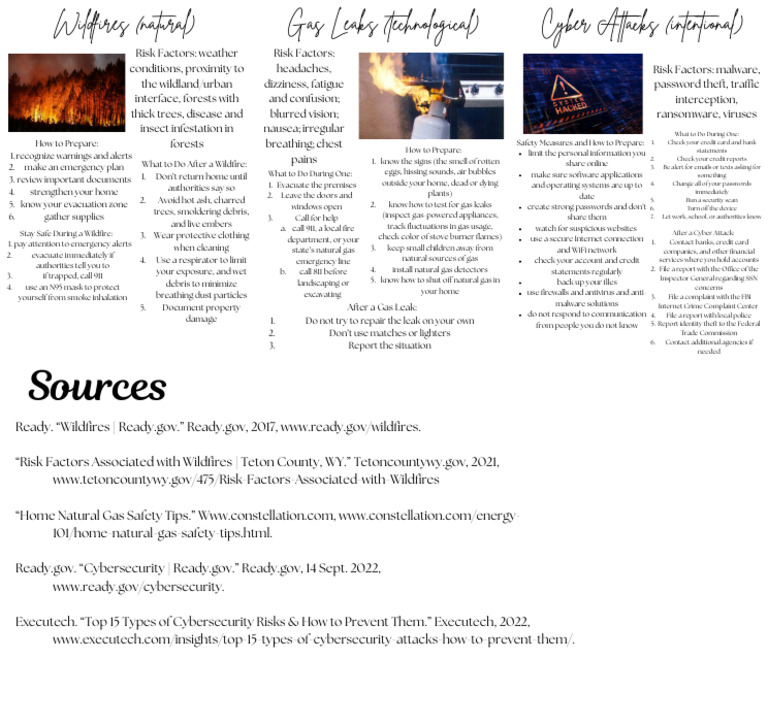 Disaster Preparedness Brochure | PDF | Wildfire | Safety