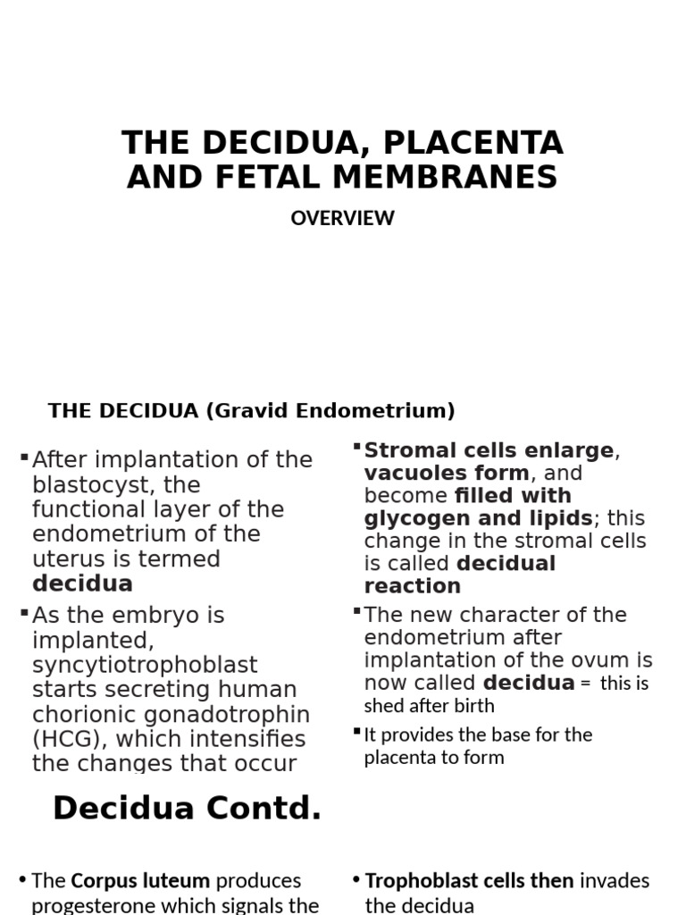 The Decidua Reaction | PDF | Placenta | Developmental Biology