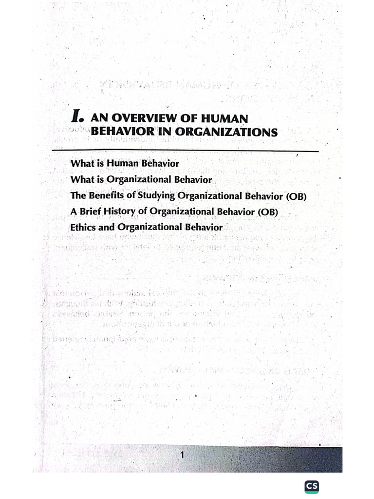 Ba 213 Chapter 1 | PDF