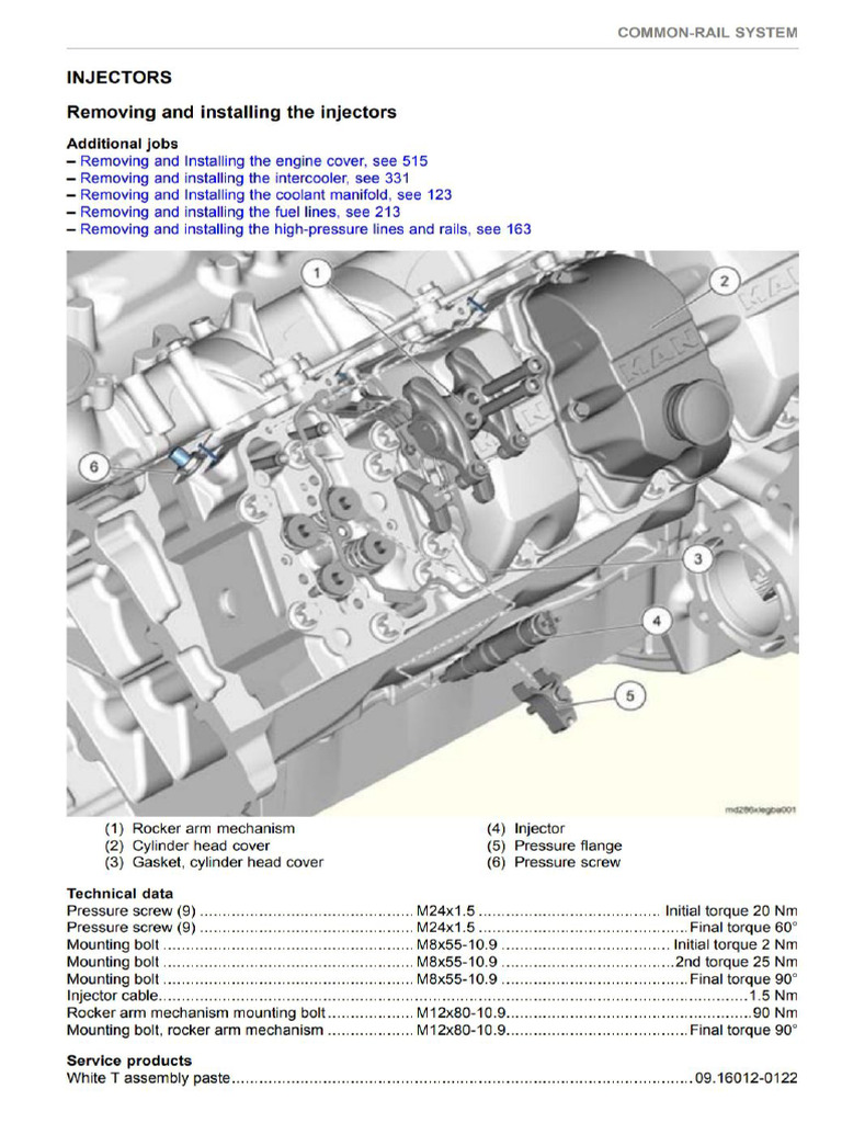 Standart torque injector MAN engine D2862 | PDF