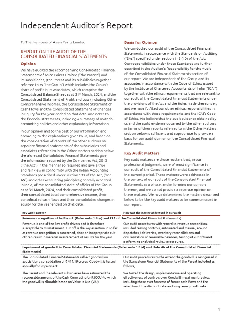 Consolidated Financial Statements24 | PDF | Going Concern | Audit