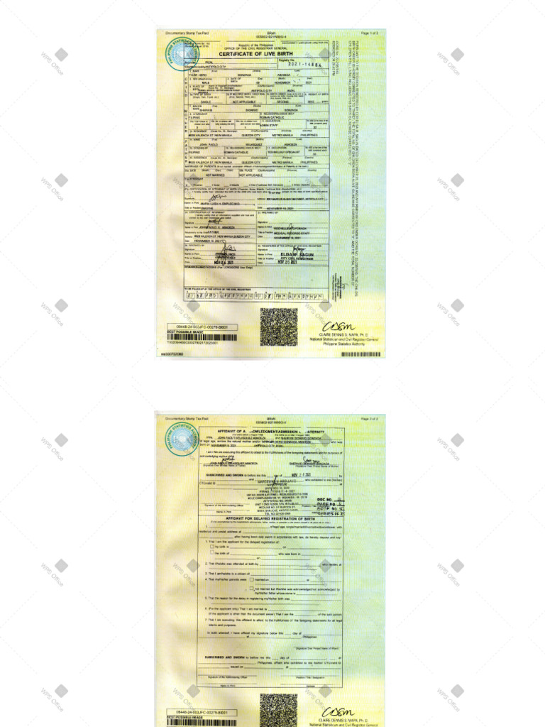 Live Birth Certificate | PDF