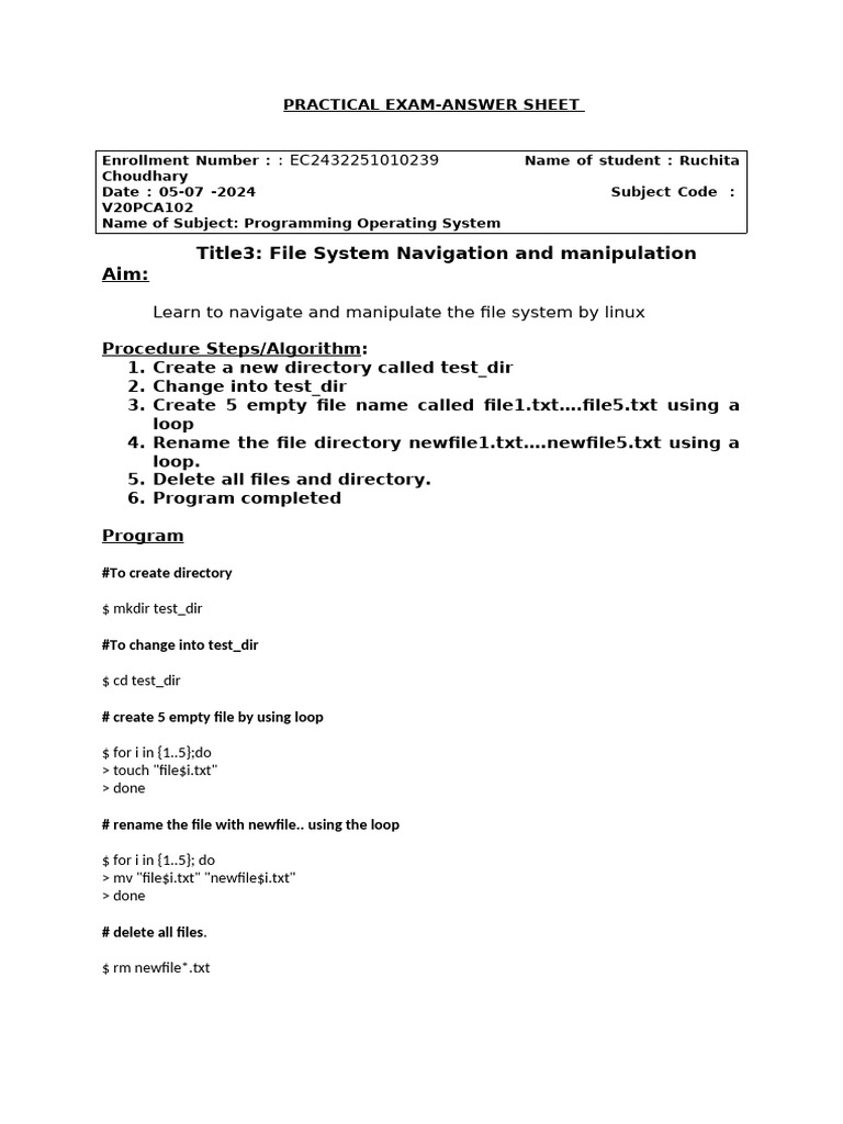 Practical Exam | PDF