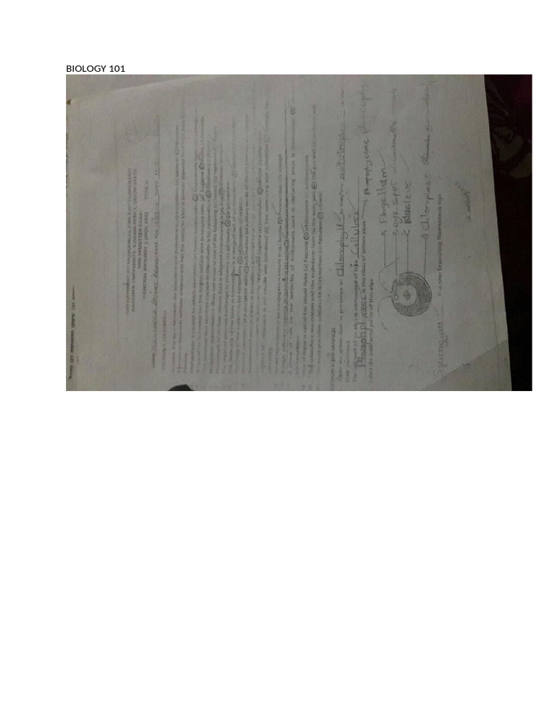 Biology 101 | PDF