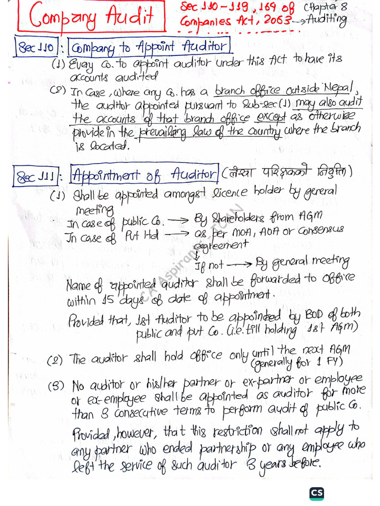 Company Audit and Government Audit Handwritten Notes | PDF