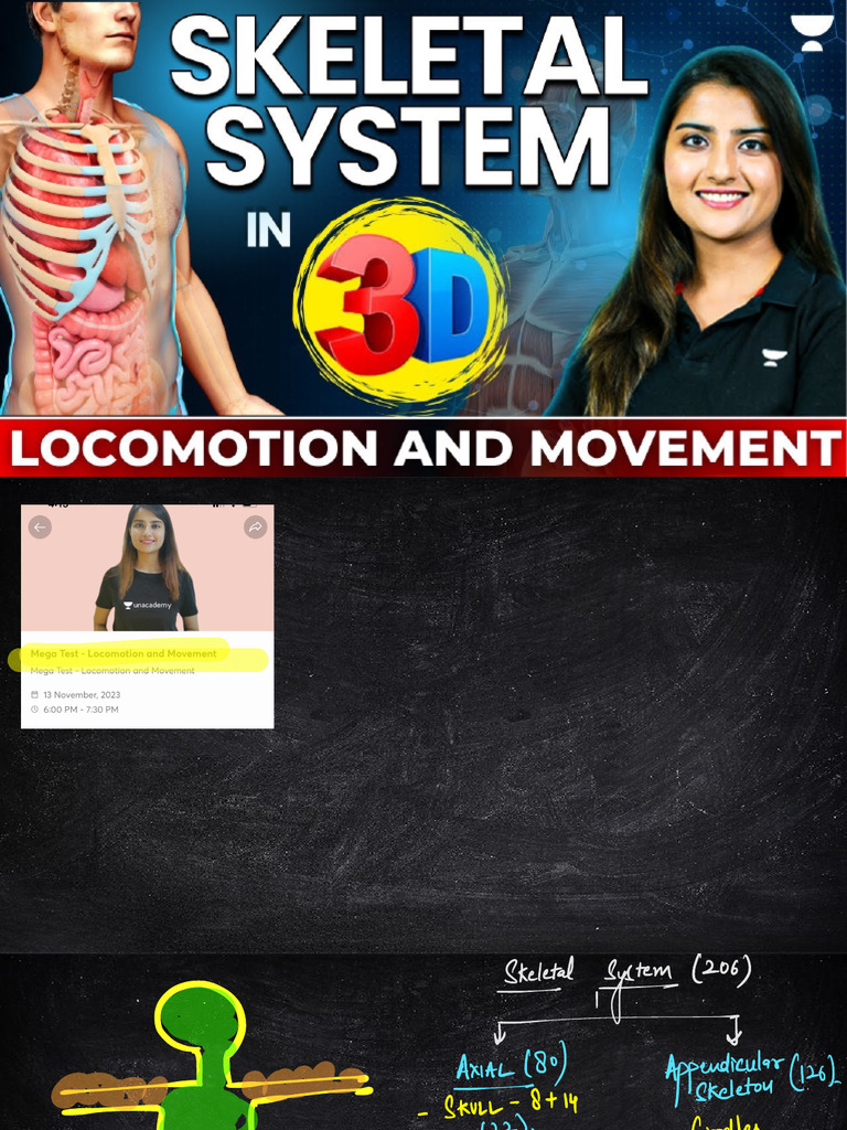 Locomotion & Movement L2 Skeletal System | PDF