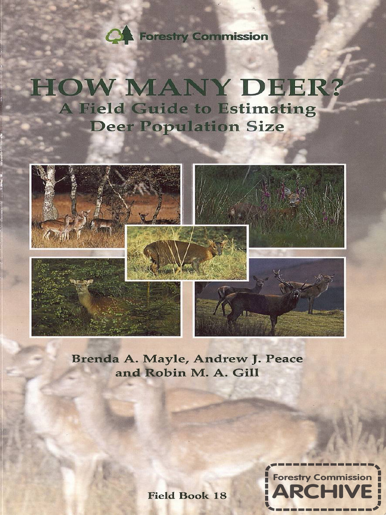 How Many Deer | PDF | Deer