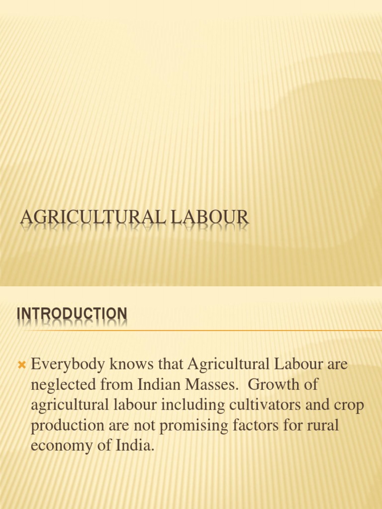 Agricultural Labour and Differently Abled Labour | PDF | Labour ...