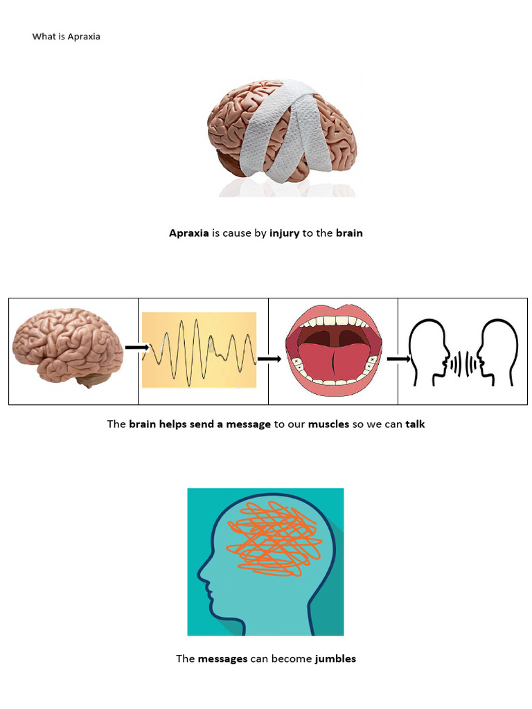 Understanding Apraxia: Causes & Effects | PDF