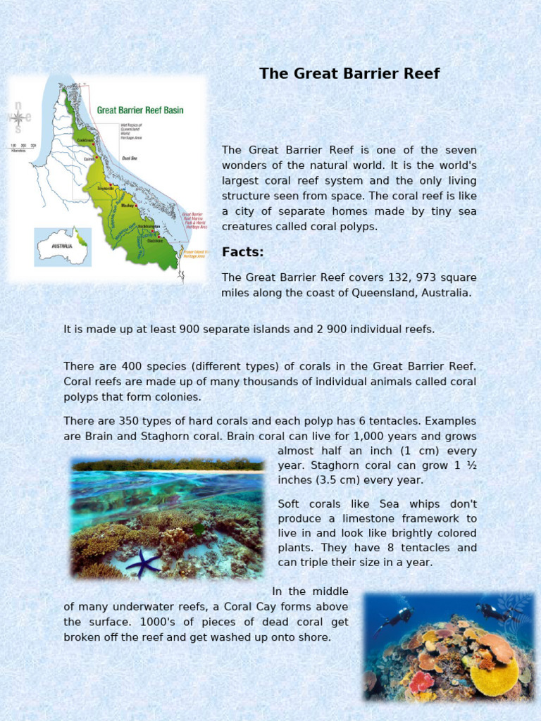 The Great Barrier Reef - 64387 | PDF | Coral | Sea Turtle